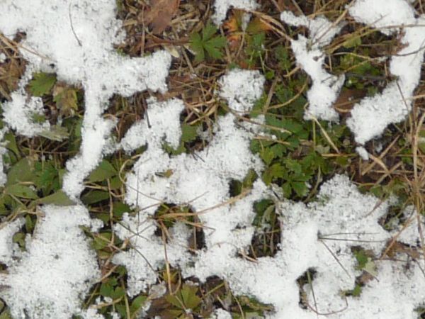 frozen ground texture 0028 - Texturelib